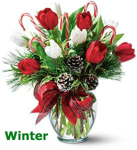 Chico Florists - Flowers in Chico CA - Chico Florist